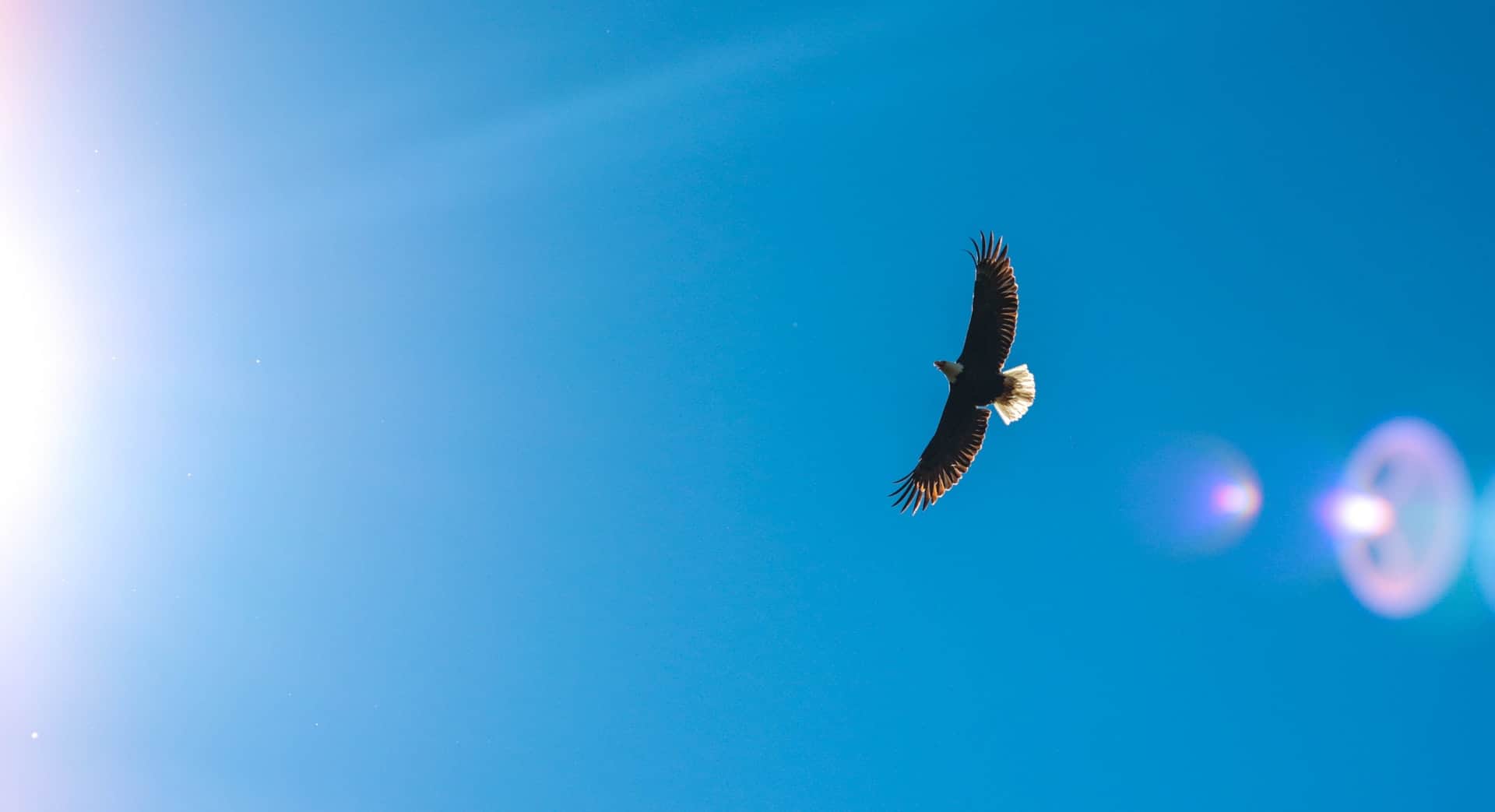 About Us - Eagle Care Health Solutions